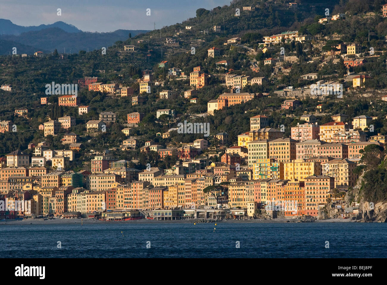 Camogli from Punta Chiappa, Ligury, Italy Stock Photo - Alamy