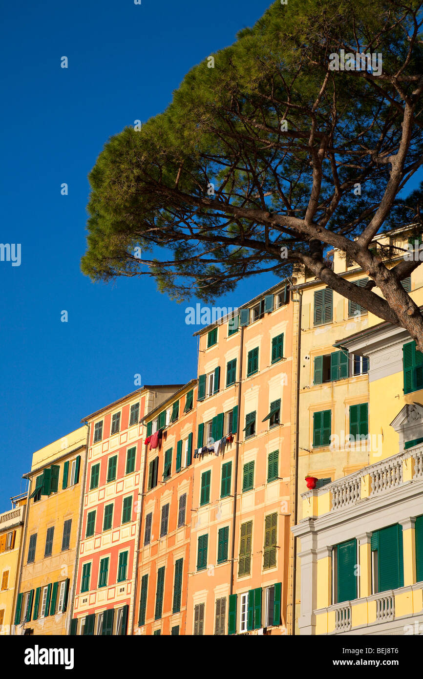 Typical houses, Camogli, Ligury, Italy Stock Photo - Alamy
