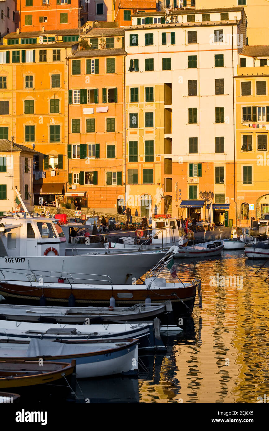 Port, Camogli, Ligury, Italy Stock Photo - Alamy