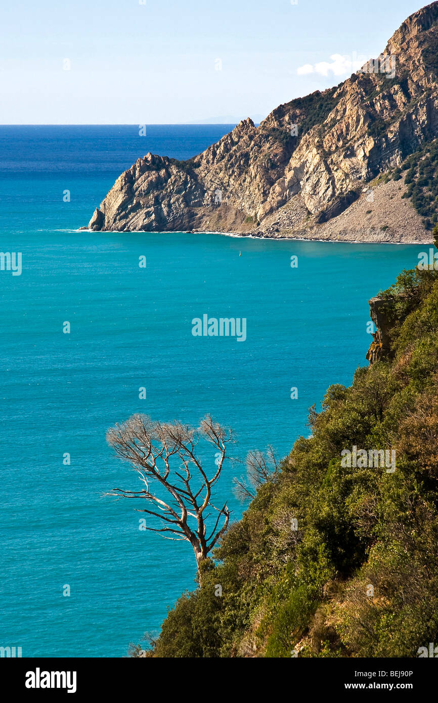 Coast, Vernazza, Cinque Terre, Ligury, Italy Stock Photo - Alamy