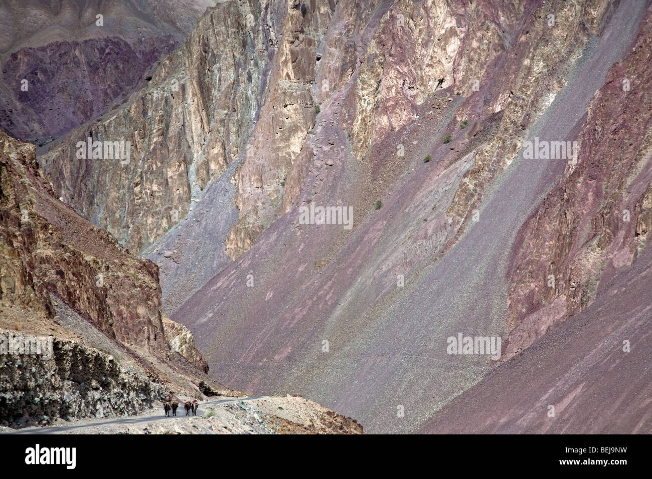 Zanskar valley hi-res stock photography and images - Alamy