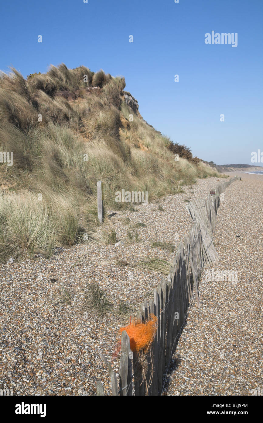 Dunwich beach and cliffs, North Sea coast, Suffolk, East Anglia ...