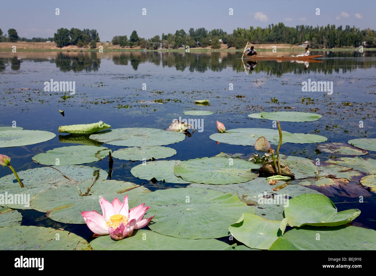 Manasbal lake hi-res stock photography and images - Alamy