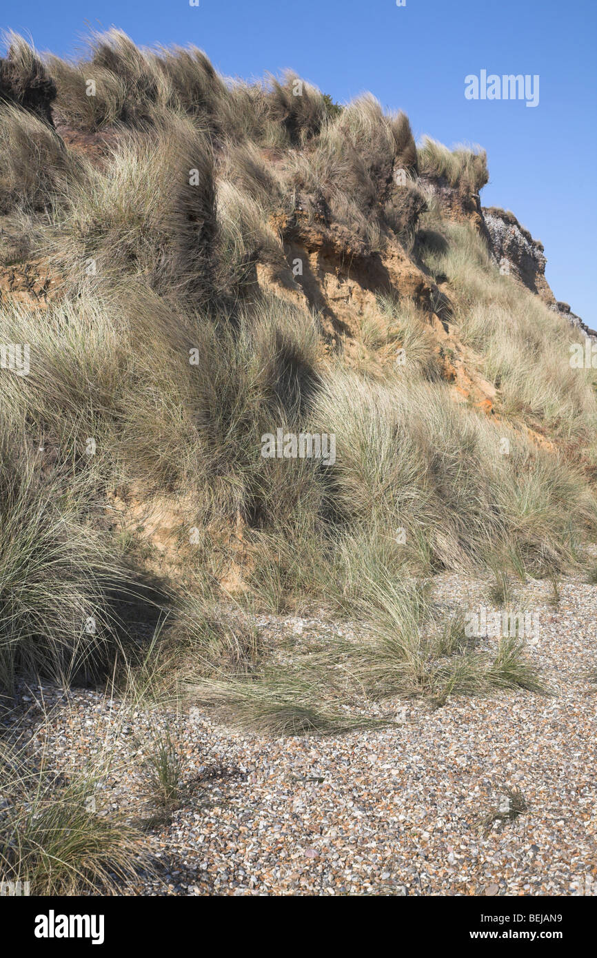 Dunwich beach and cliffs, North Sea coast, Suffolk, East Anglia ...