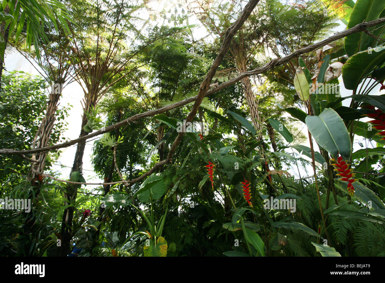 The Aquarium of Genoa, Biosphere, Genoa, Ligury, Italy Stock Photo - Alamy