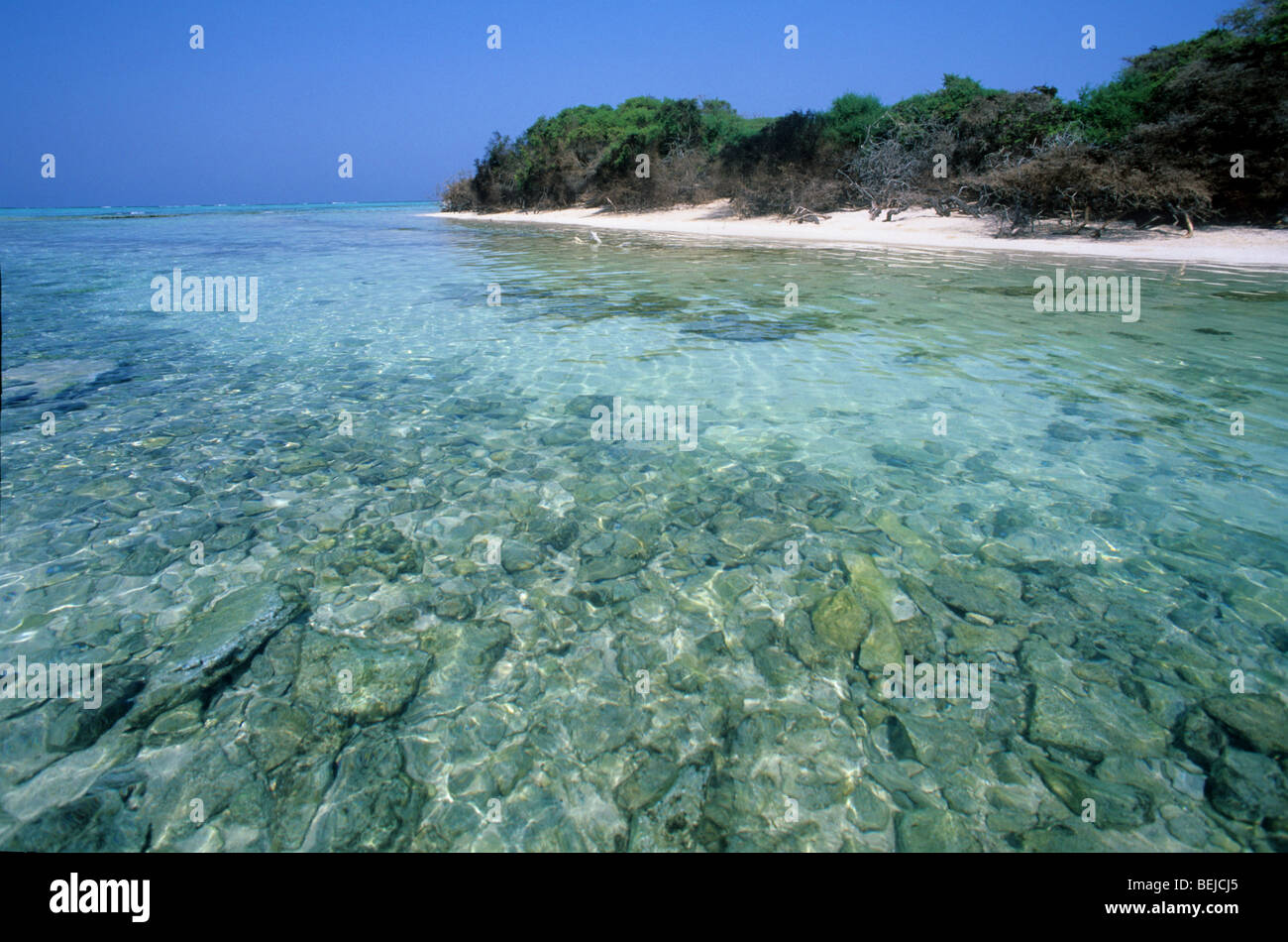 Beach, Farasan Island, Red Sea, Saudi Arabia, Middle East Stock Photo ...