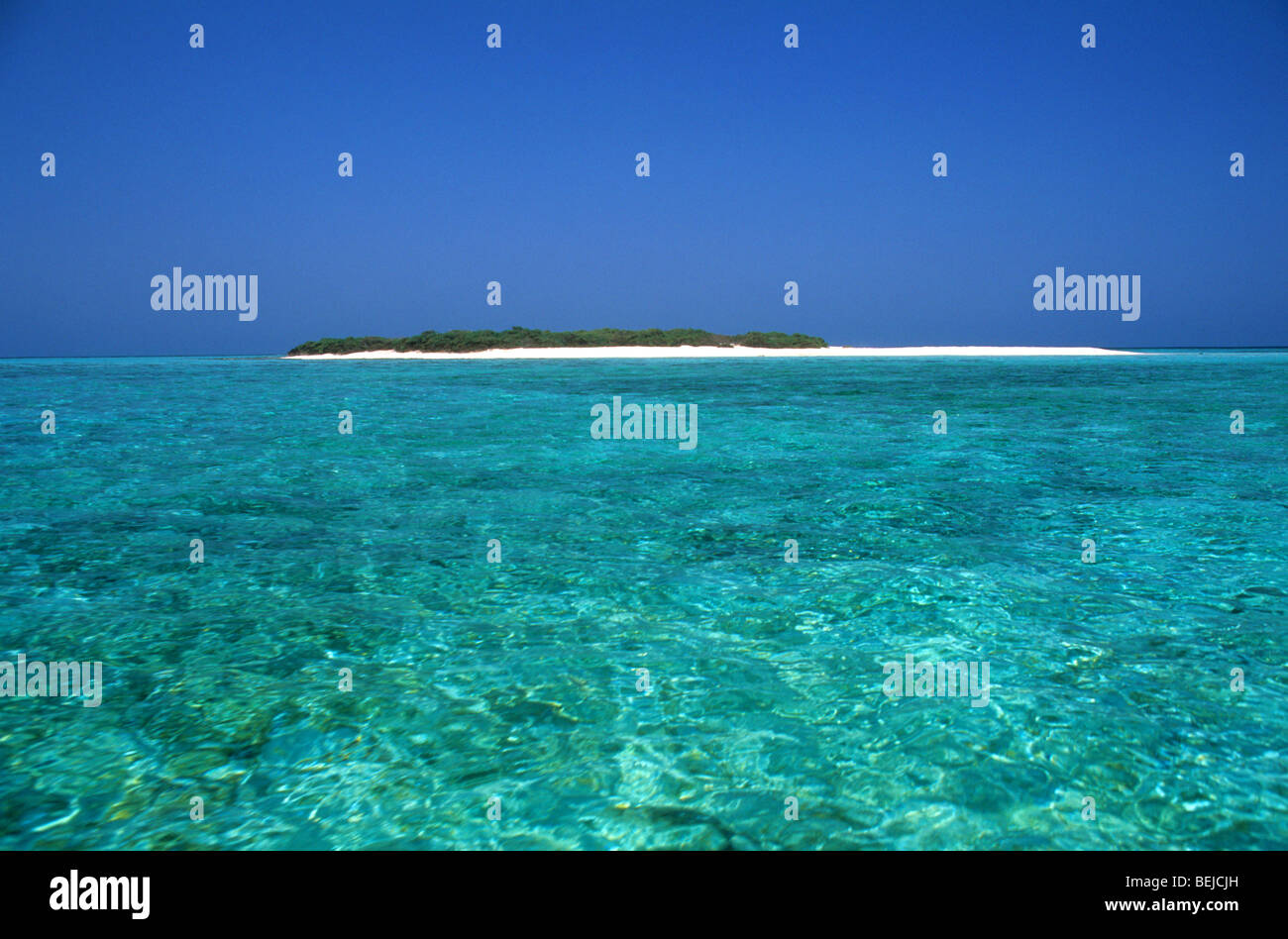 Beach, Farasan Island, Red Sea, Saudi Arabia, Middle East Stock Photo ...