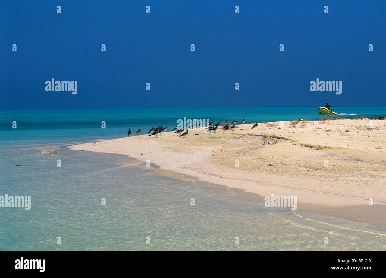 Farasan islands hi-res stock photography and images - Alamy
