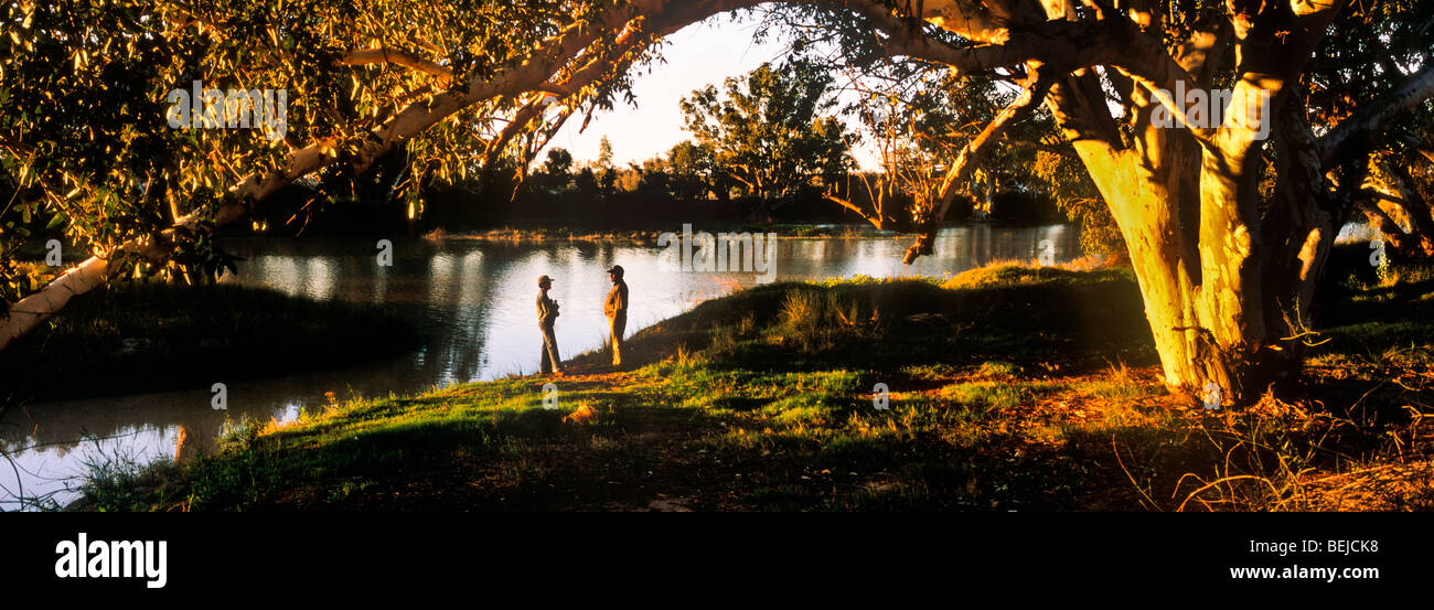 Old river red gum tree hi-res stock photography and images - Alamy