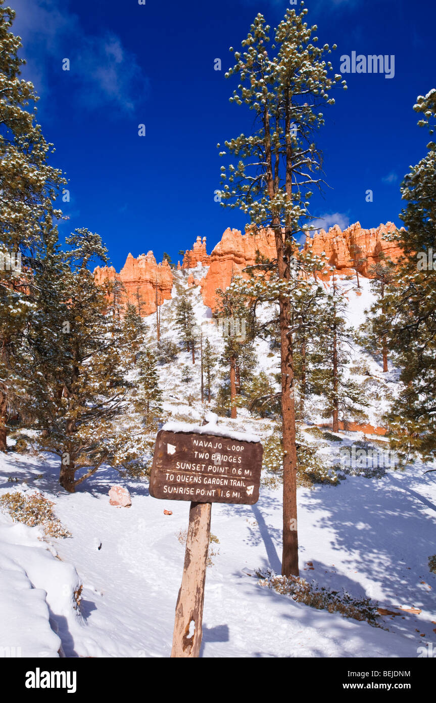 Rock formations along navajo loop trail hi-res stock photography and ...