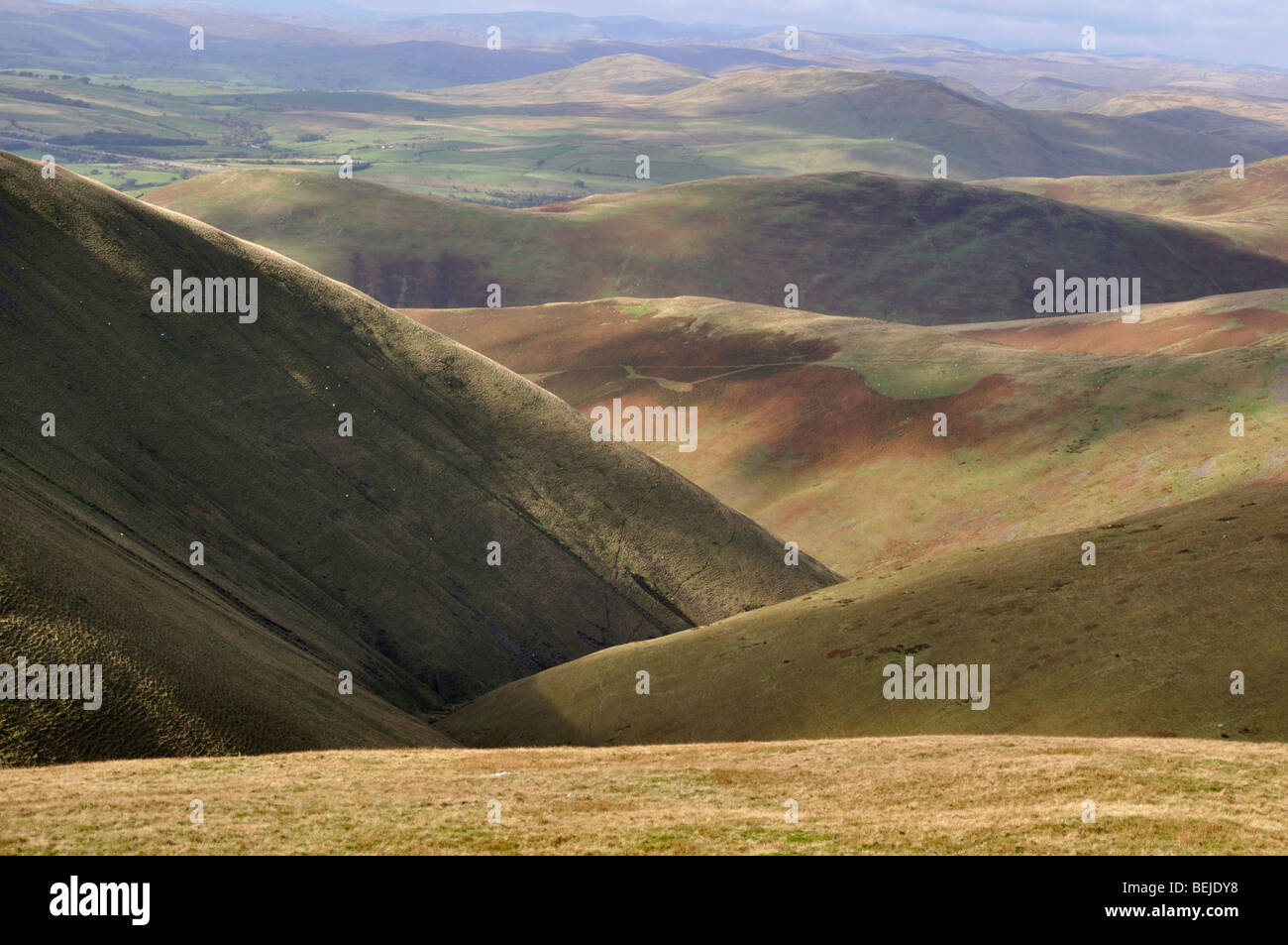 Brant fell hi-res stock photography and images - Alamy
