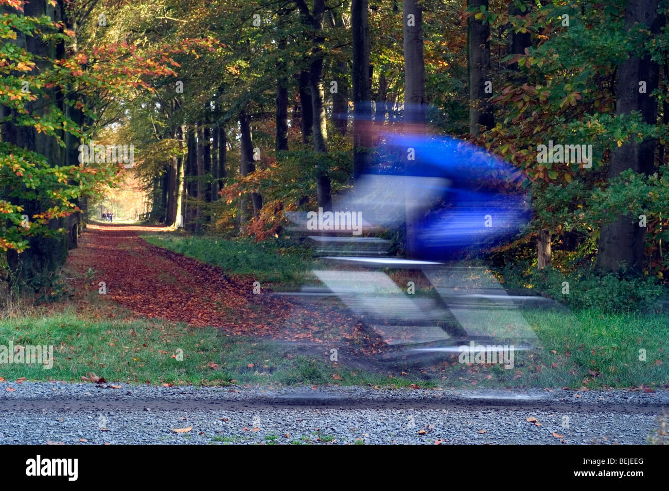 Blue mountain biker cycles with bike through forest in autumn colours ...