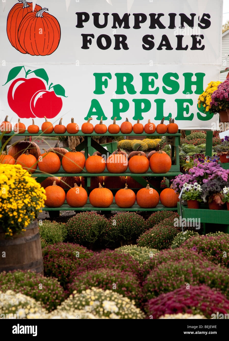 Pumpkins for sale sign hi-res stock photography and images - Alamy
