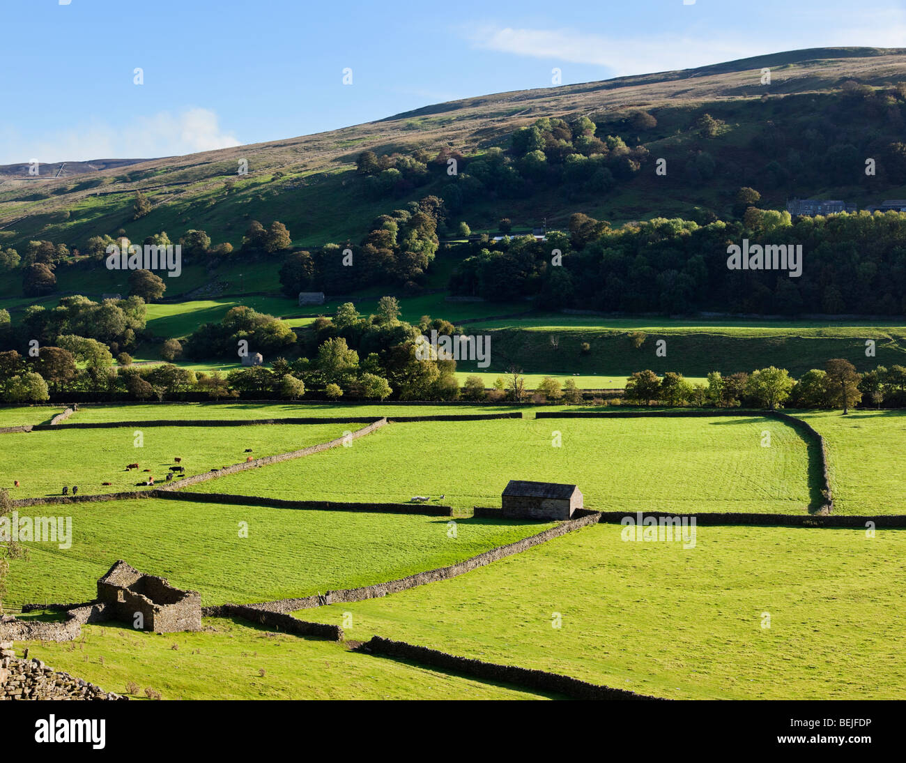 Gunnerside bottom, Swaledale, Yorkshire Dales, North Yorkshire, England ...