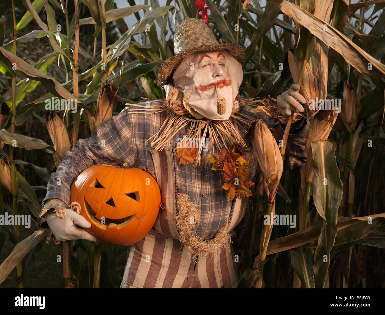 Scary arm hi-res stock photography and images - Alamy