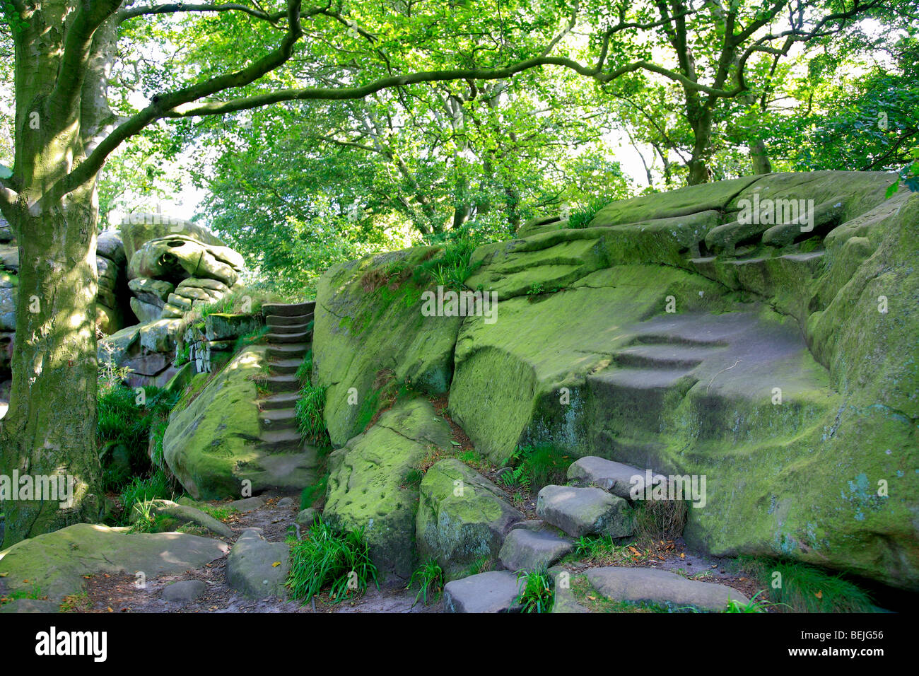 The Rowter Rocks Birchover village Peak District National Park ...