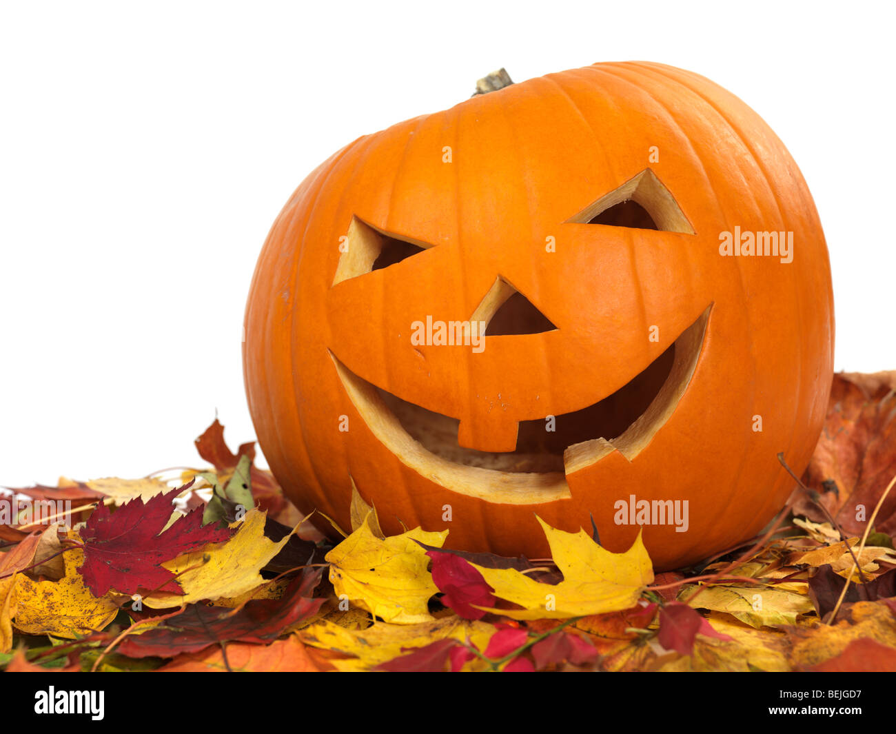 Carved smiling pumpkin on colorful fall leaves Stock Photo - Alamy