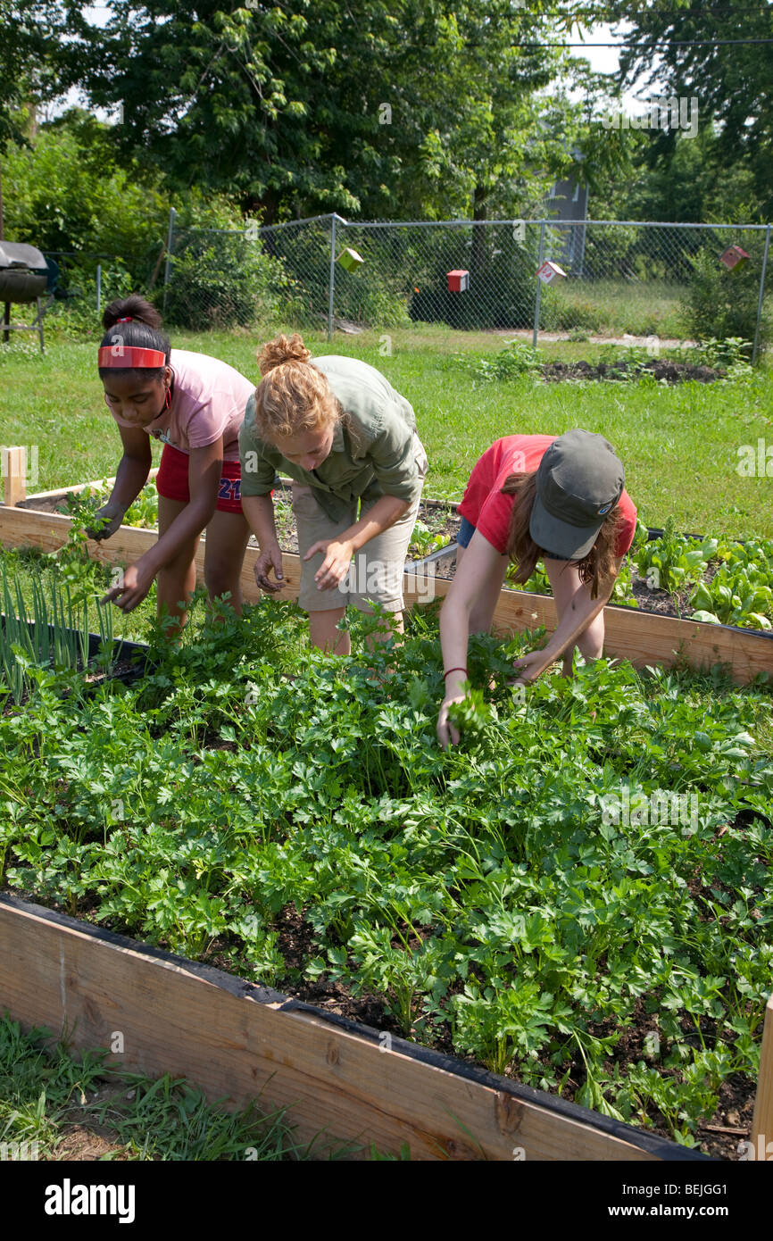Children work in garden, growing food for soup kitchen Stock Photo - Alamy