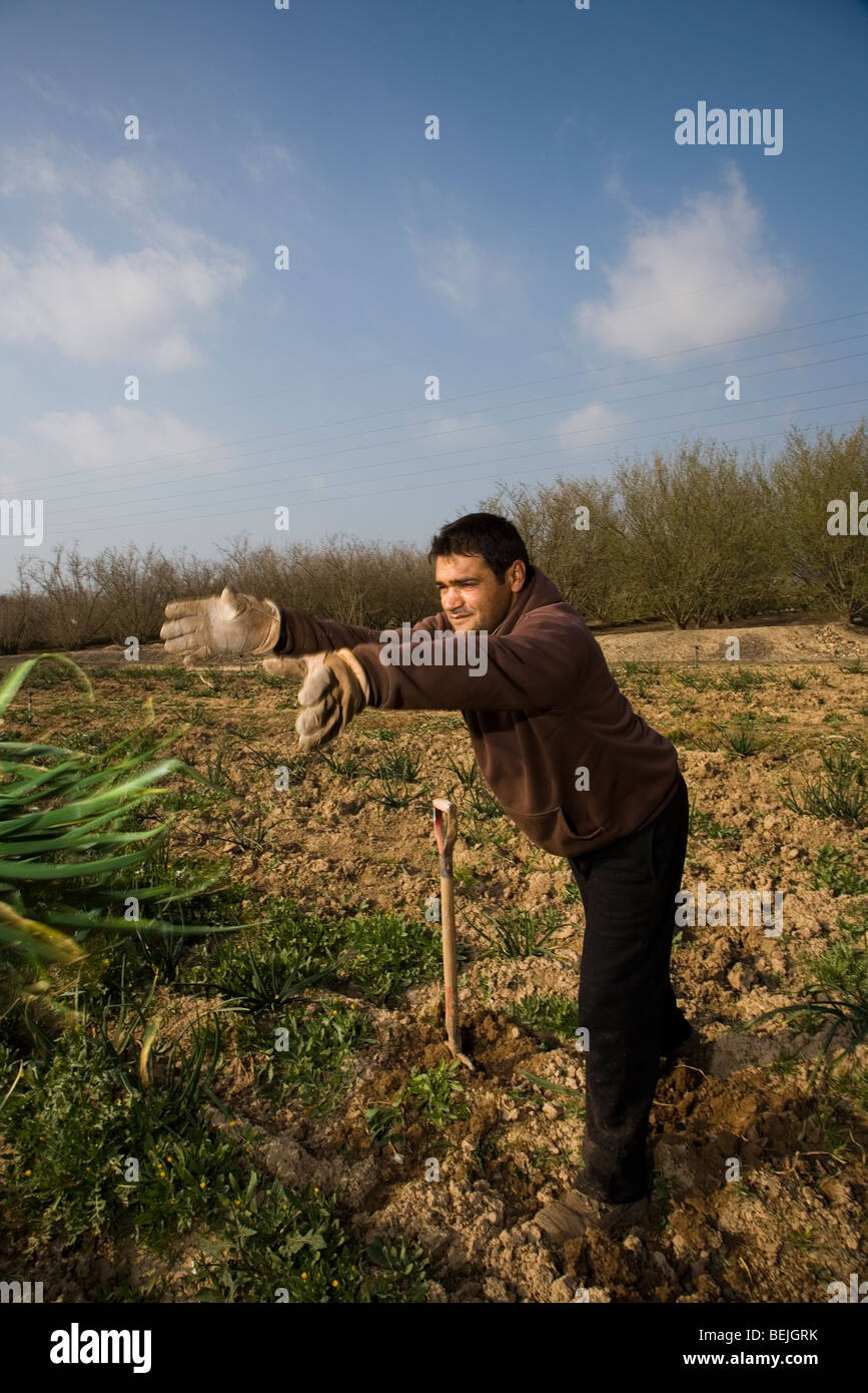 Maria dorada hi-res stock photography and images - Alamy