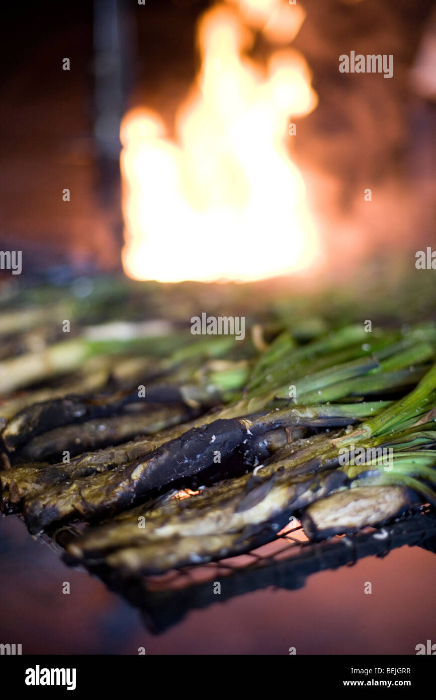 Calcot Catalan Spain Dorada onion Spanish cooking Stock Photo - Alamy
