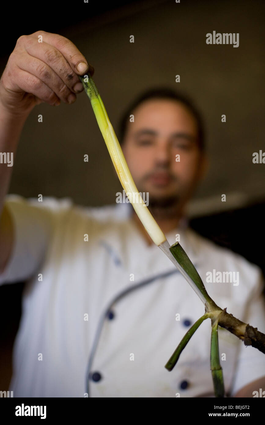 Traditional Catalan Masia High Resolution Stock Photography and Images ...