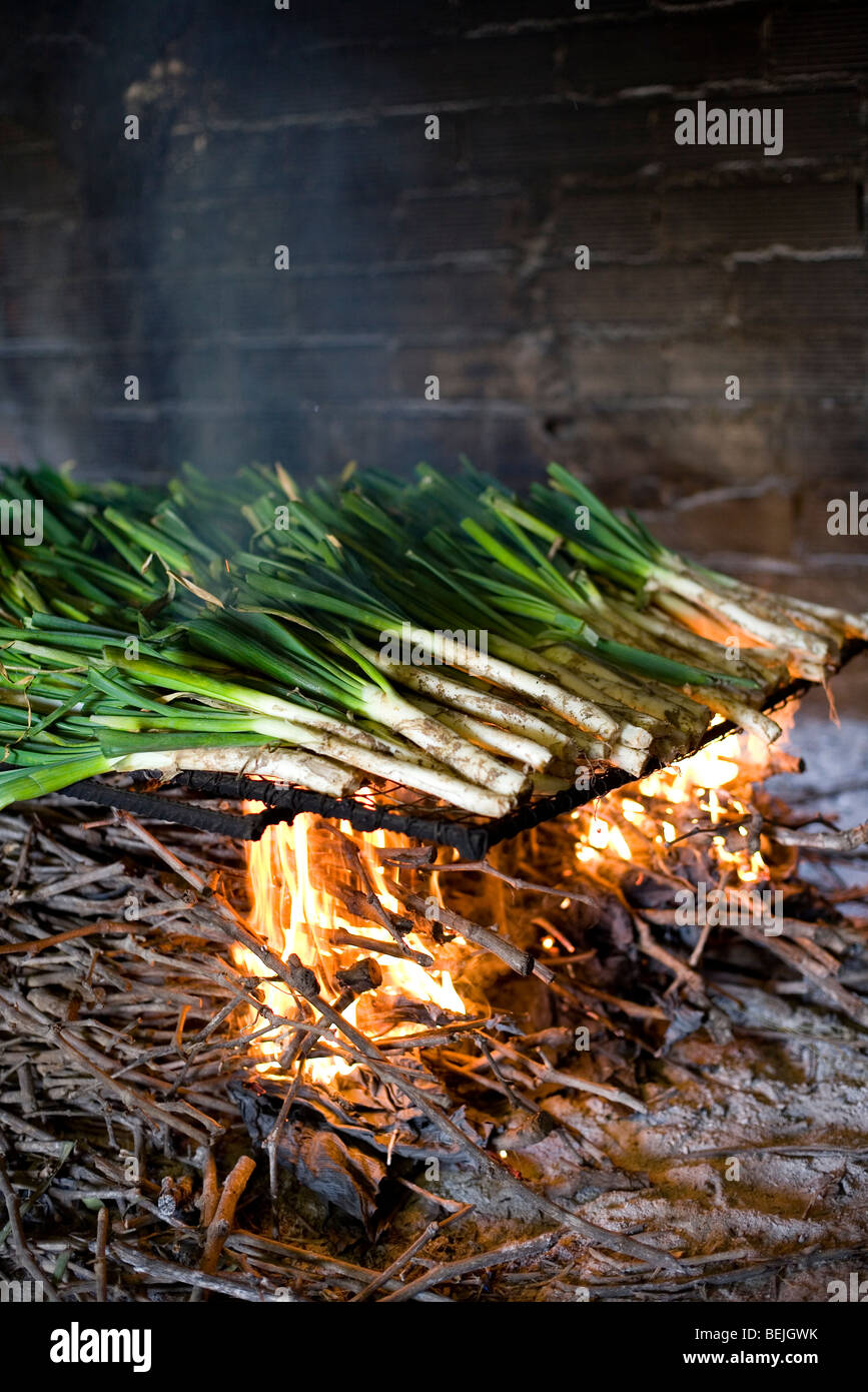 Calcot Catalan Spain Dorada onion Spanish cooking Stock Photo - Alamy