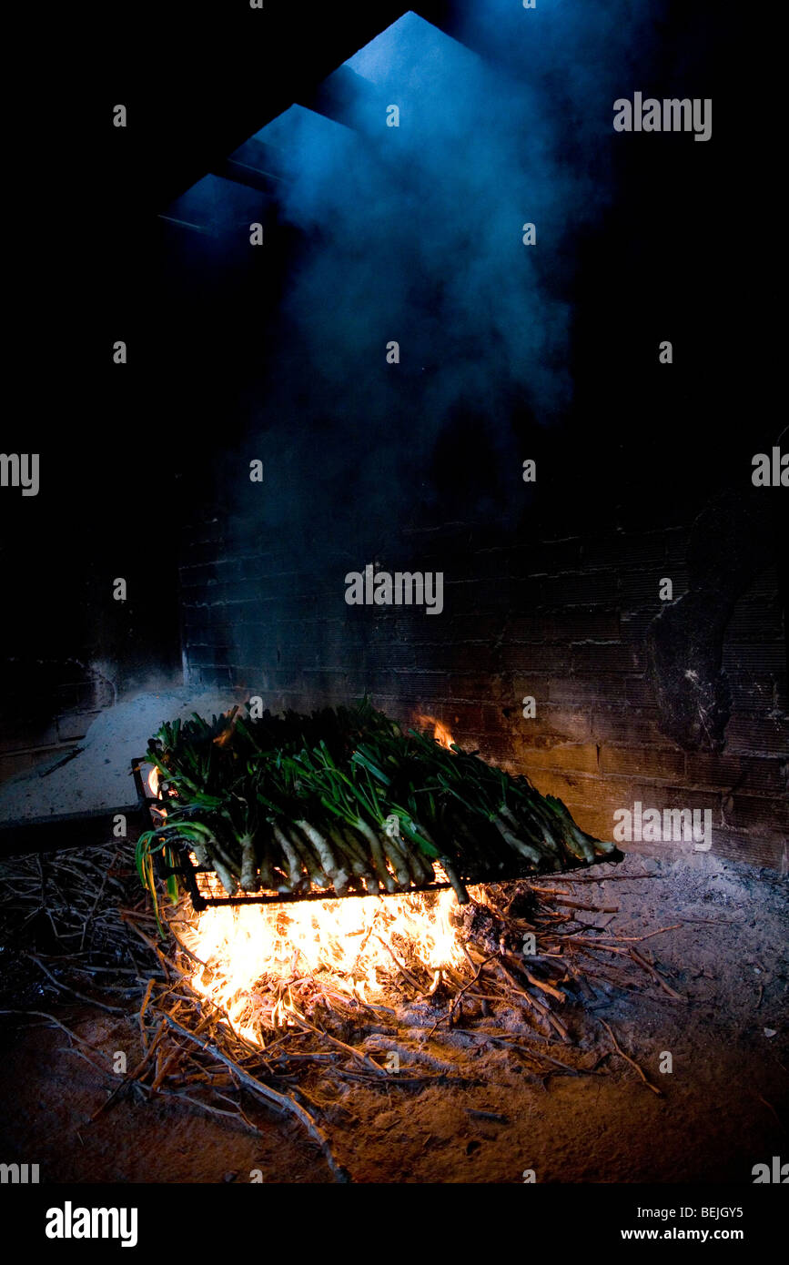 Calcot Catalan Spain Dorada onion Spanish cooking Stock Photo - Alamy