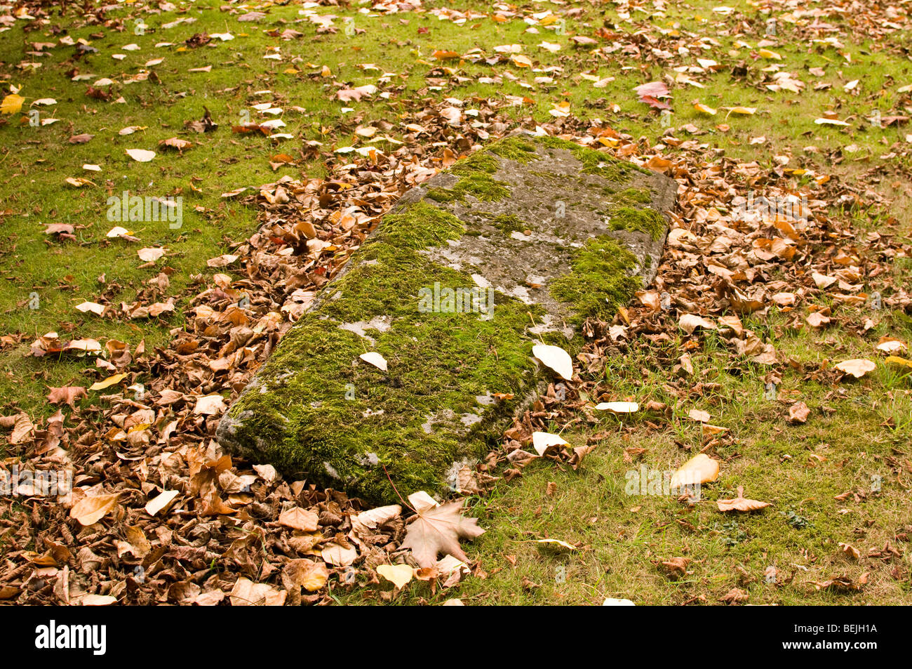 Long forgotten hi-res stock photography and images - Alamy