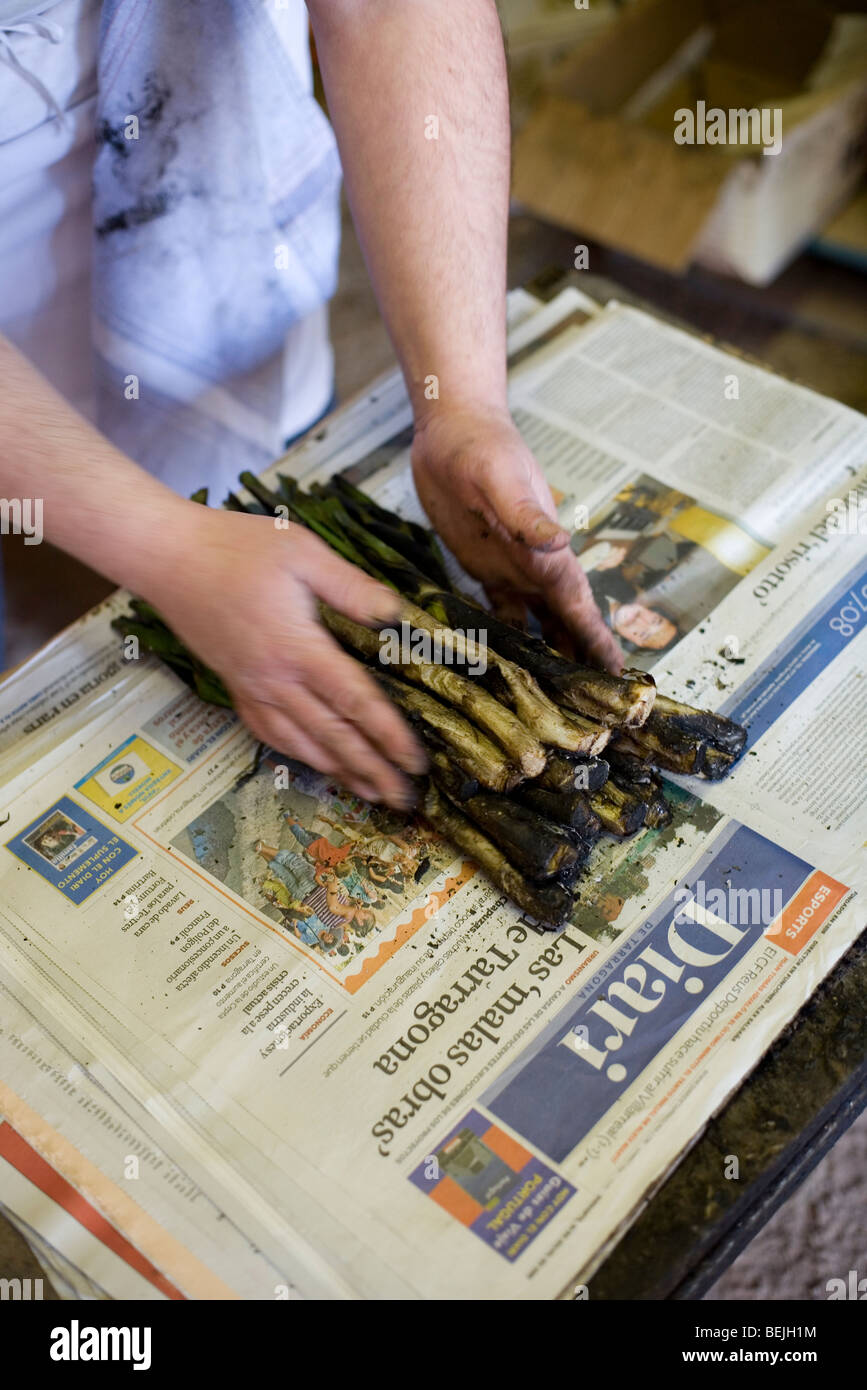 Calcot Catalan Spain Dorada onion Spanish cooking Stock Photo - Alamy
