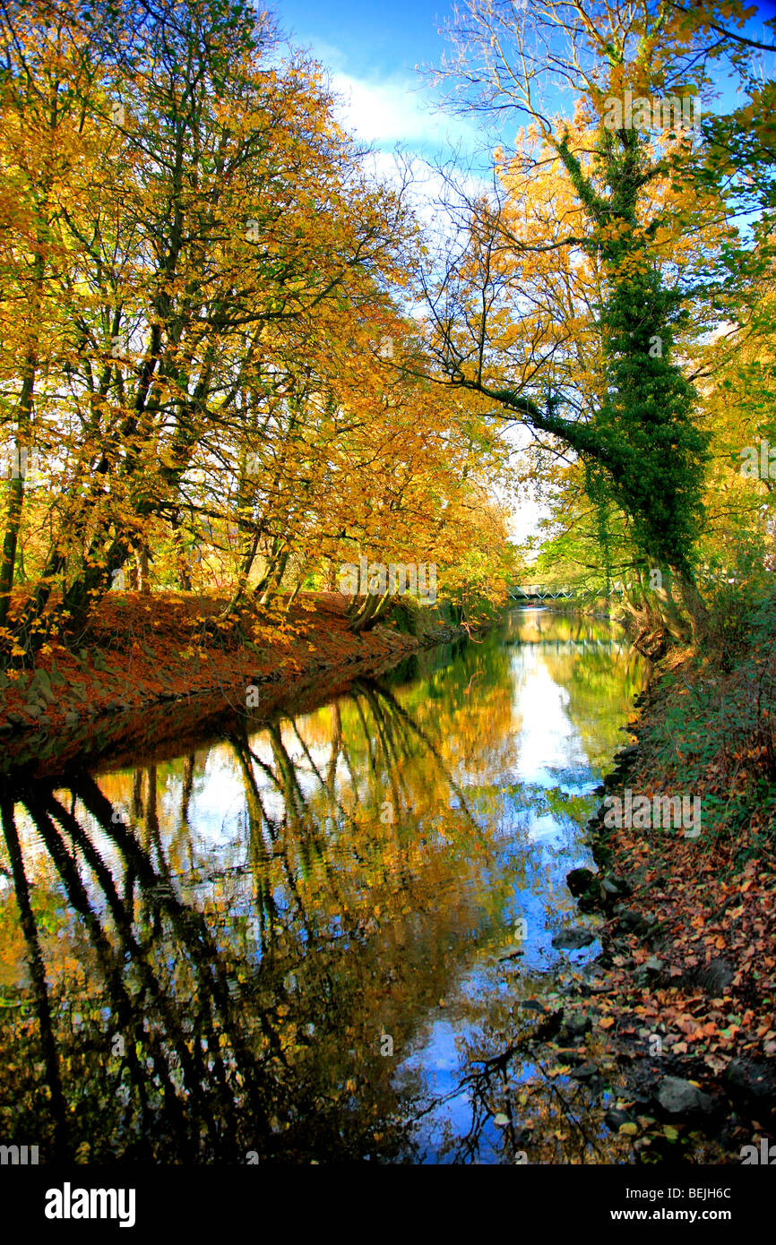 Autumn Tree Colours River Derwent Matlock Town Peak District National ...