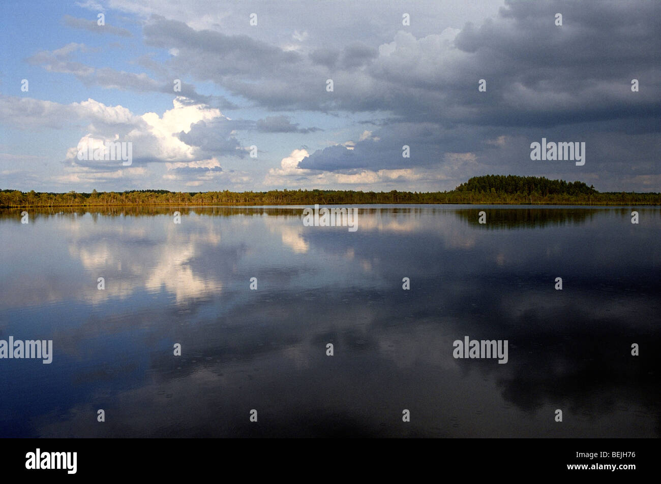 Lake in Bog Stock Photo - Alamy