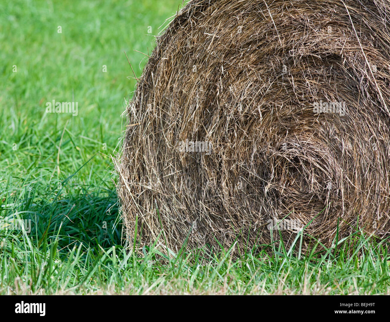 Hay in rolls hi-res stock photography and images - Alamy