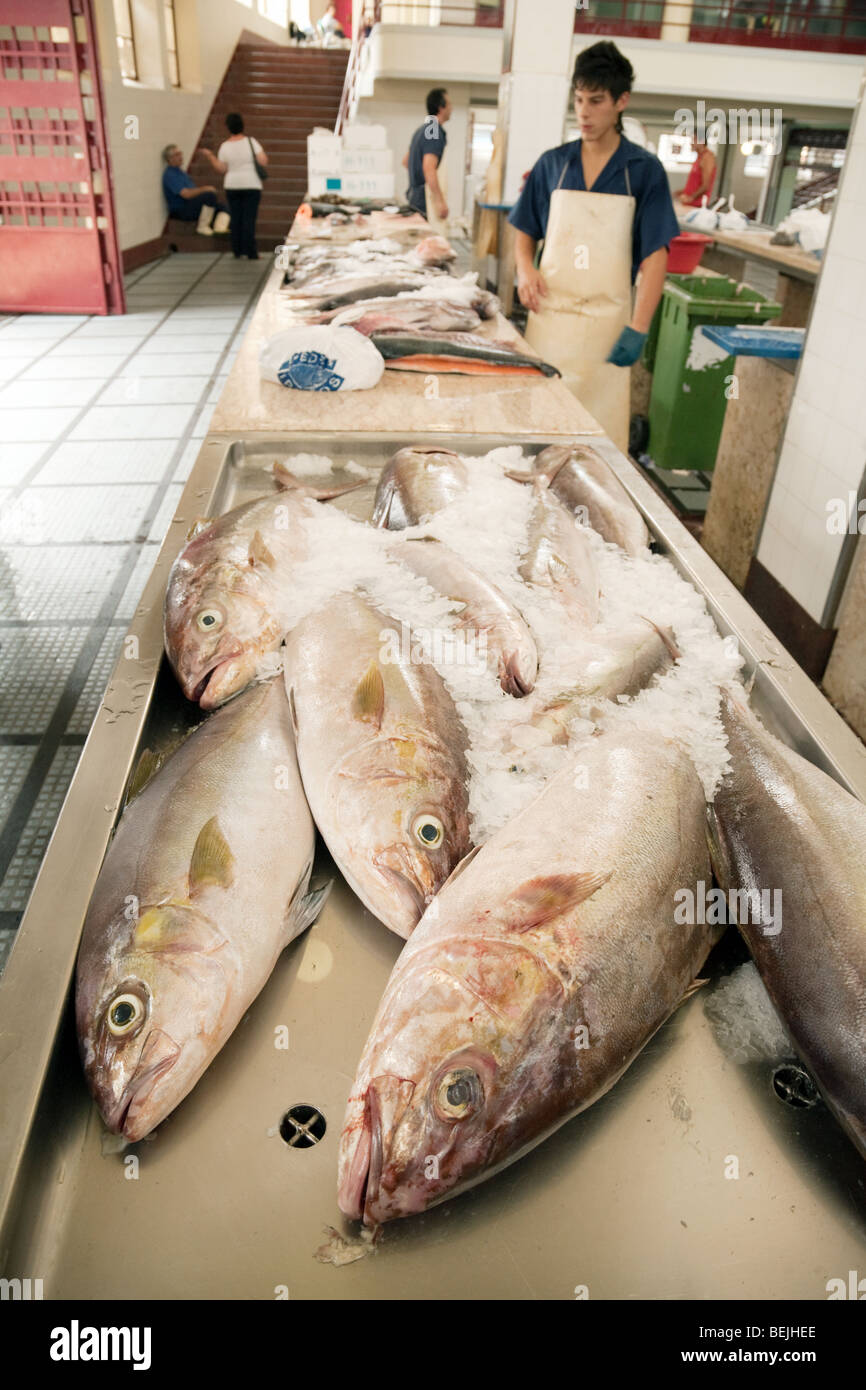 Scene at the fish market, Funchal, Madeira Stock Photo - Alamy