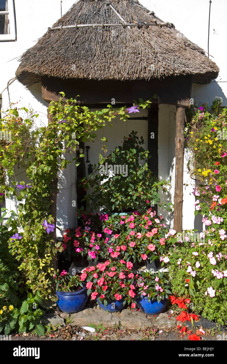 Thatched porch full of flowers, Branscombe, Devon Stock Photo - Alamy