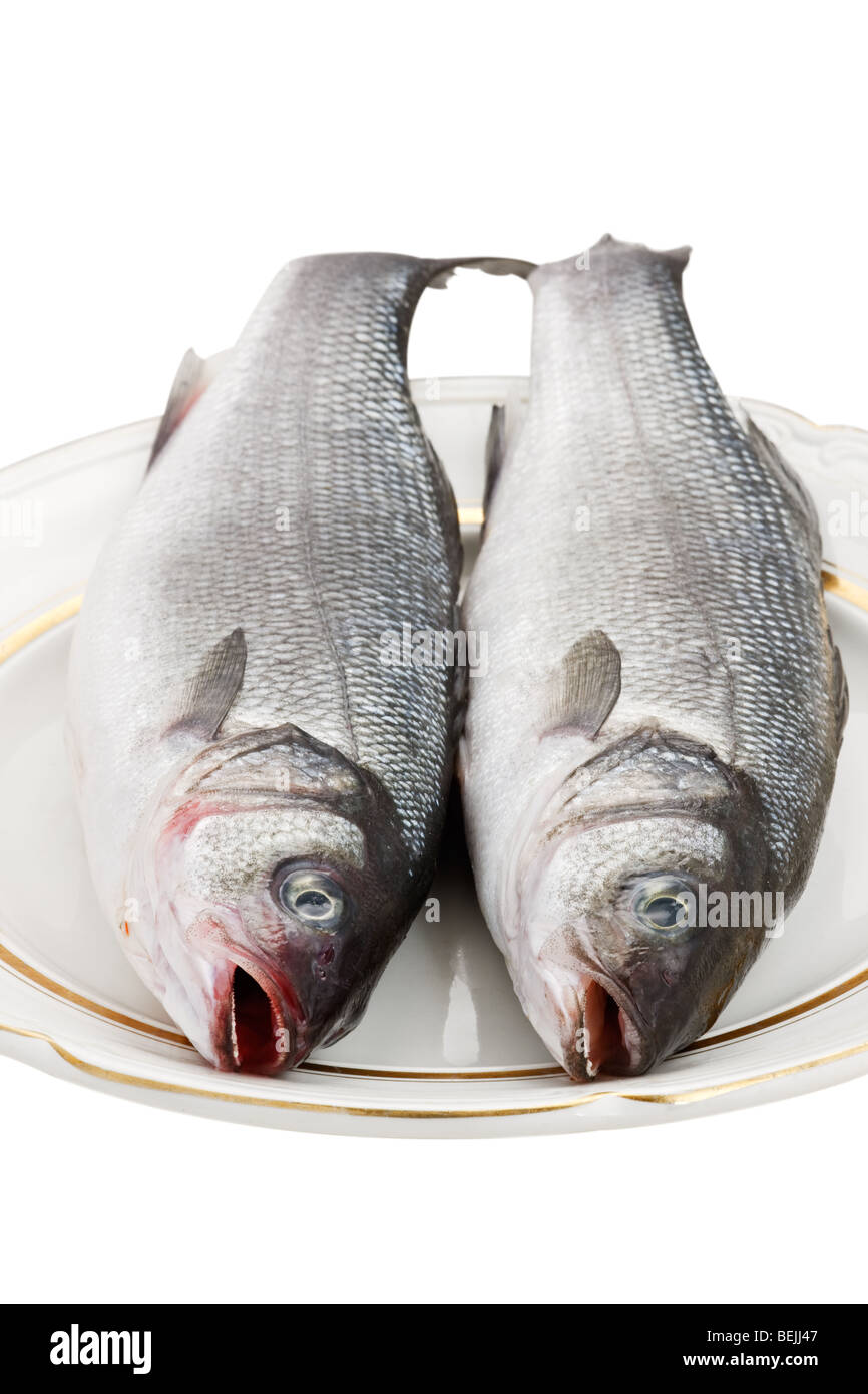 Two sea bass fish on a white plate on a white background Stock Photo ...