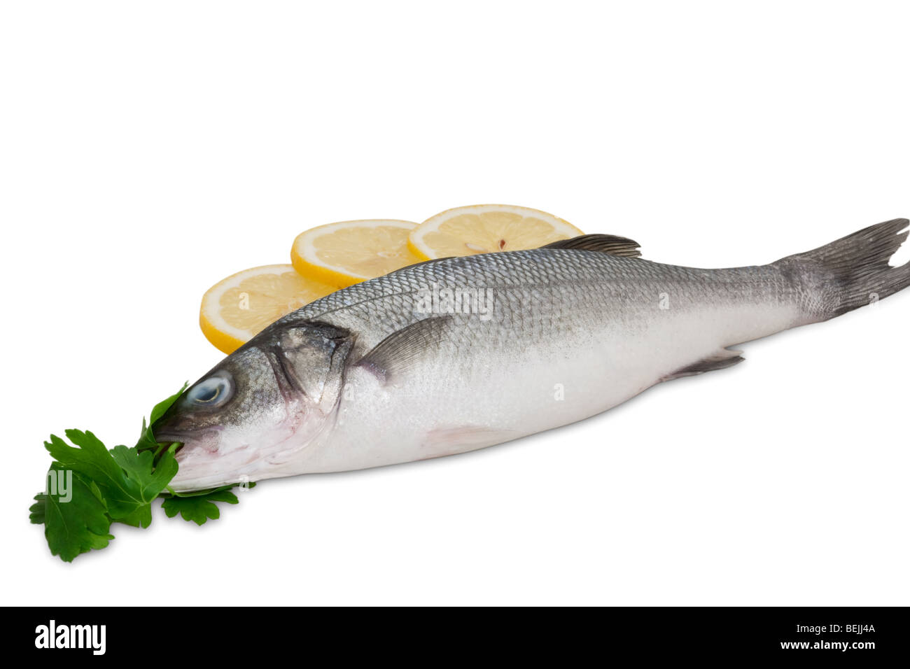 lovely fresh sea bass with herbs isolated Stock Photo - Alamy