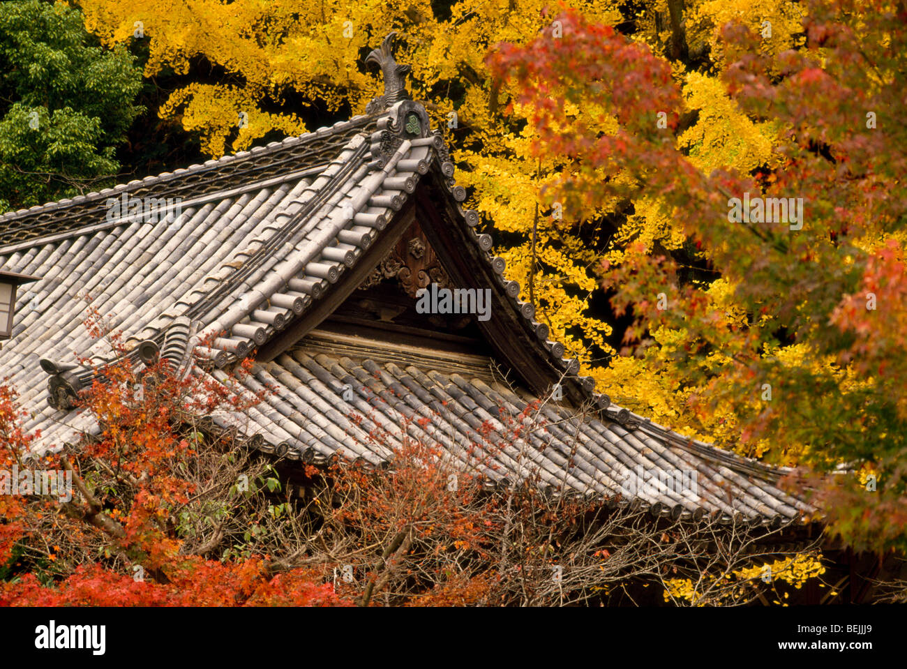 Architectural detail of building roof, on grounds of Itsukushima jinja ...