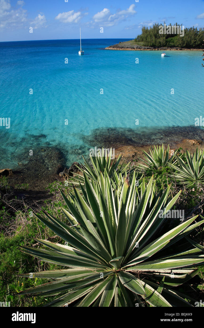 Landscape, Bermuda, Atlantic Ocean, Central America Stock Photo - Alamy