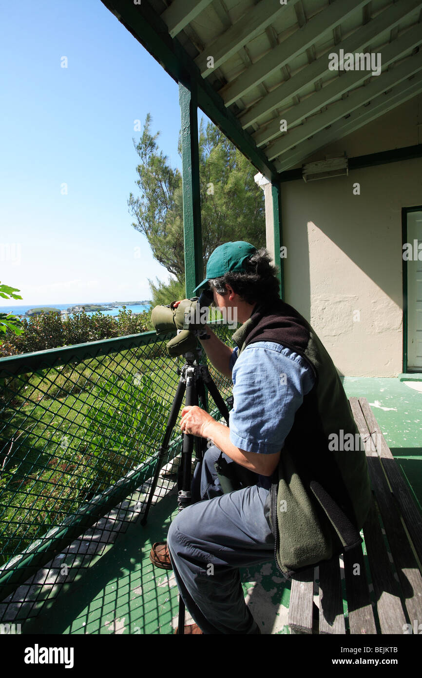 Nonsuch island bermuda hi-res stock photography and images - Alamy