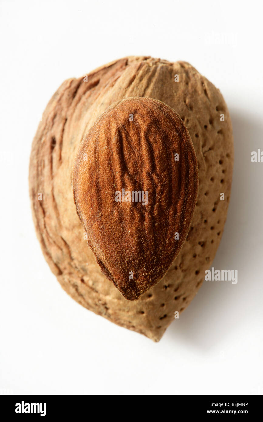 Single almond nut shell hi-res stock photography and images - Alamy