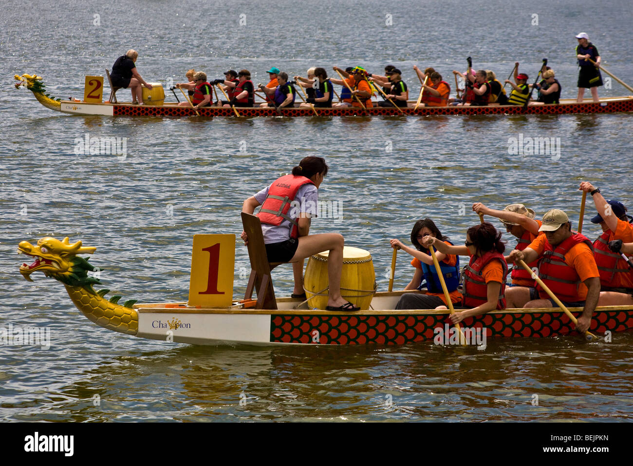 Dragonboats race, Arizona, United States of America, North America ...