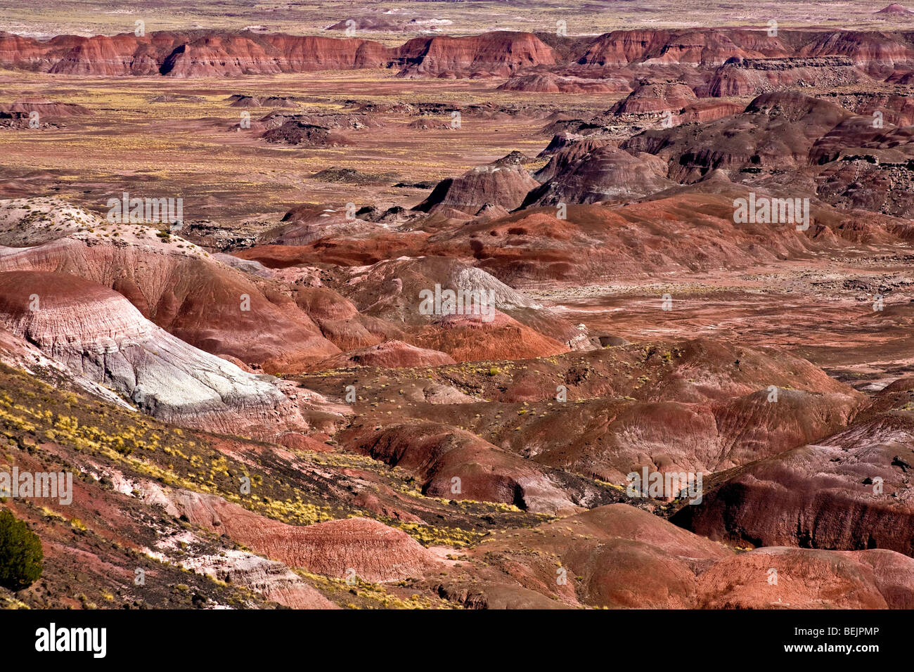 Painted desert, arizona hi-res stock photography and images - Alamy