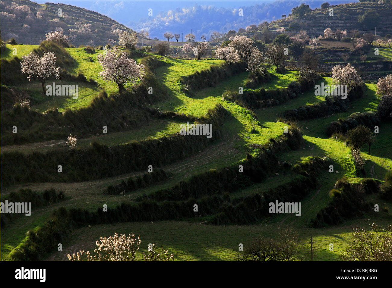 Terracing Italy High Resolution Stock Photography and Images - Alamy