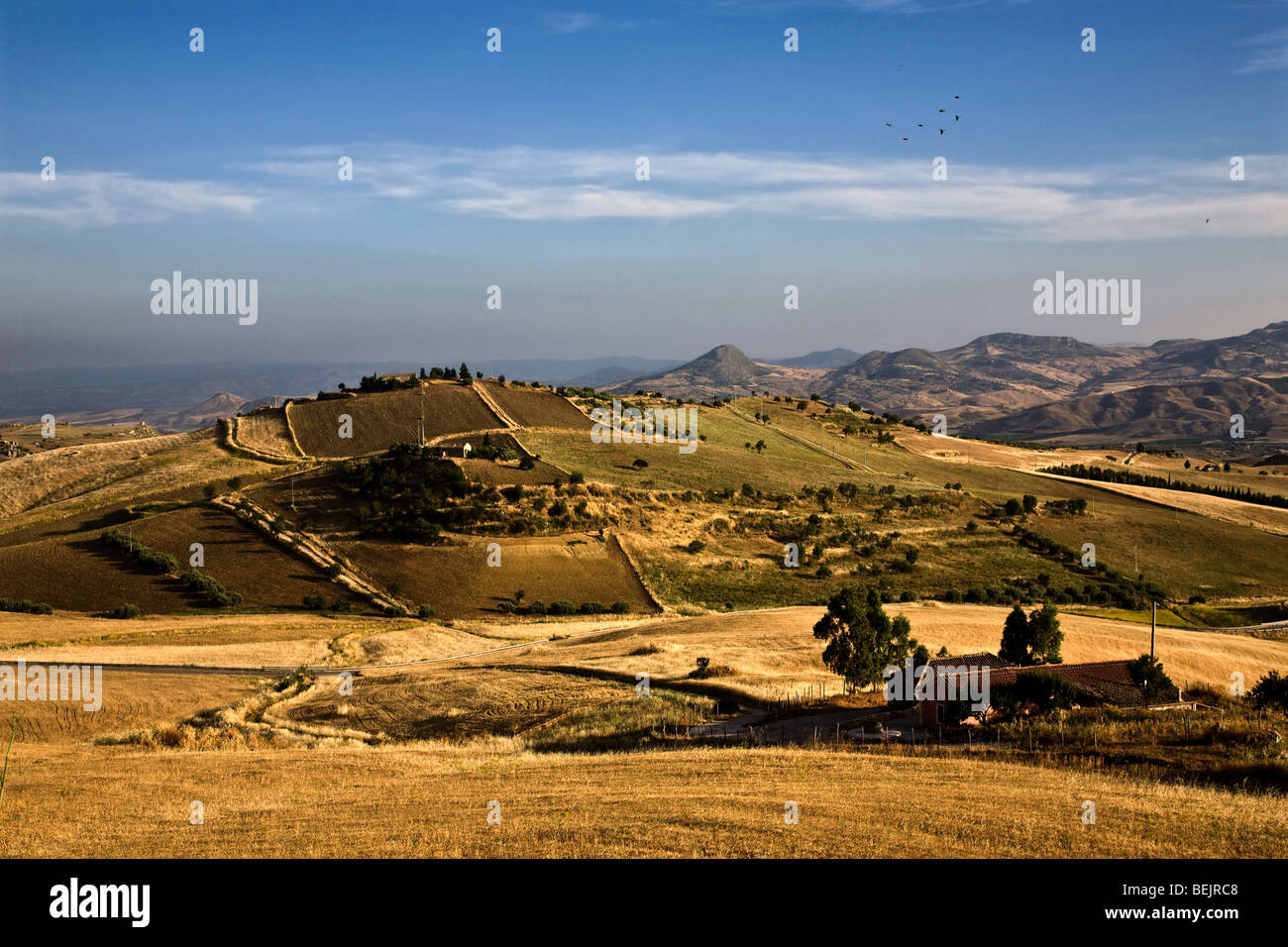 Typical sicilian countryside, Leonforte, Sicily, Italy Stock Photo - Alamy