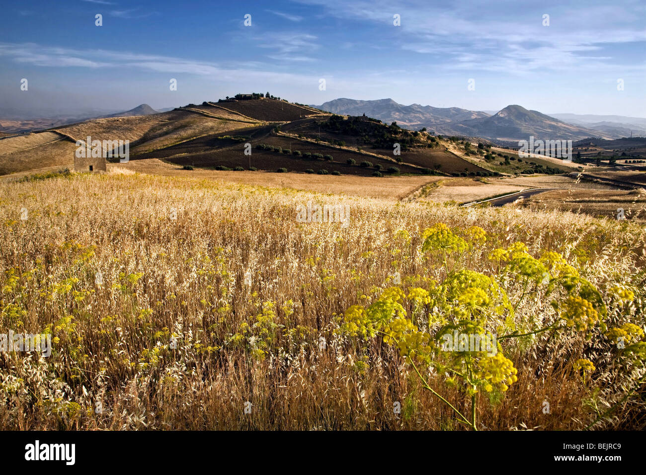 Typical sicilian countryside, Leonforte, Sicily, Italy Stock Photo - Alamy