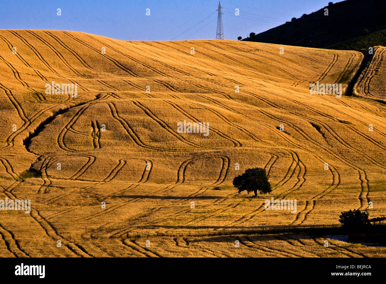 Typical sicilian countryside, Leonforte, Sicily, Italy Stock Photo - Alamy