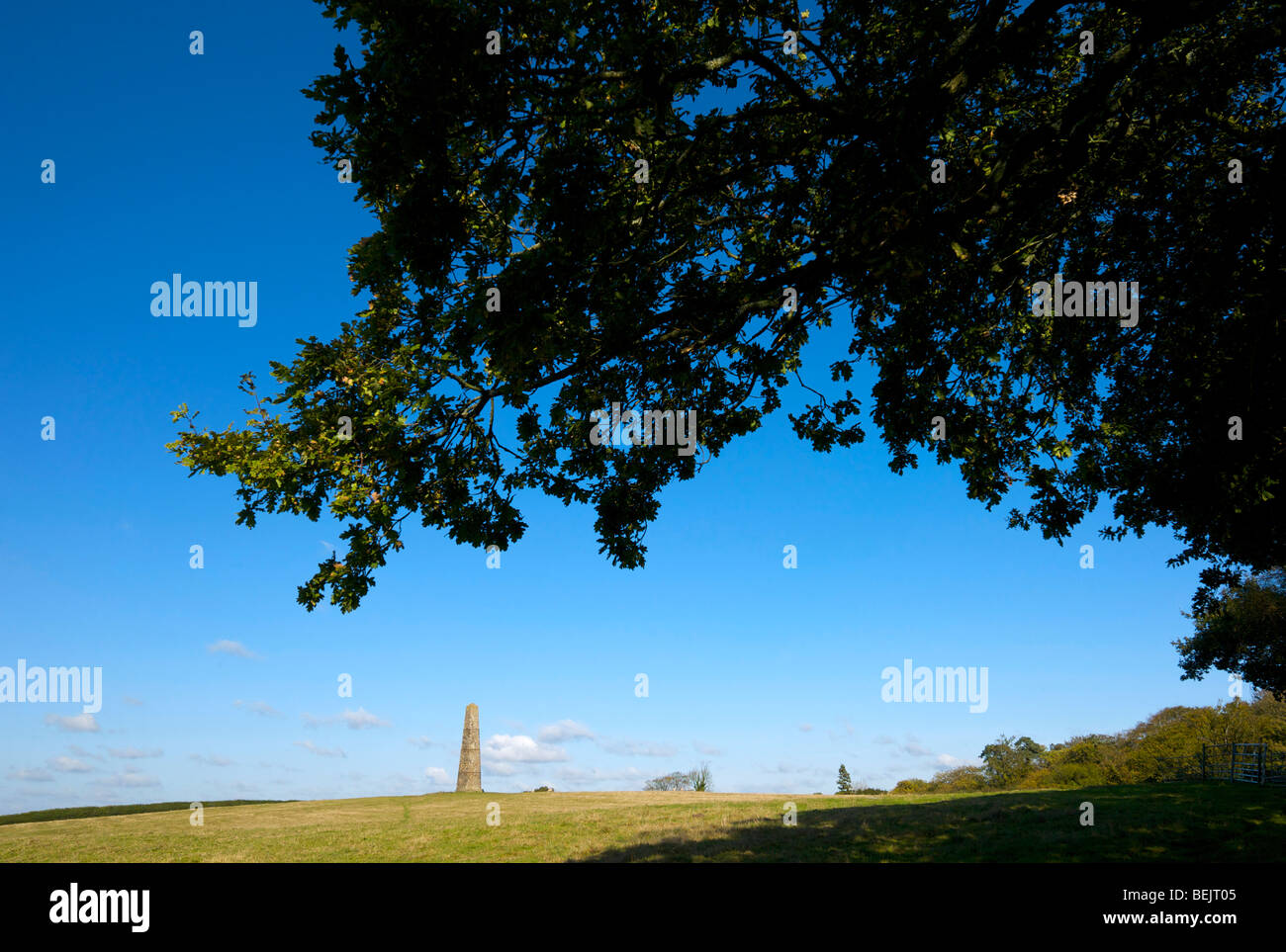 Waterloo needle hi-res stock photography and images - Alamy