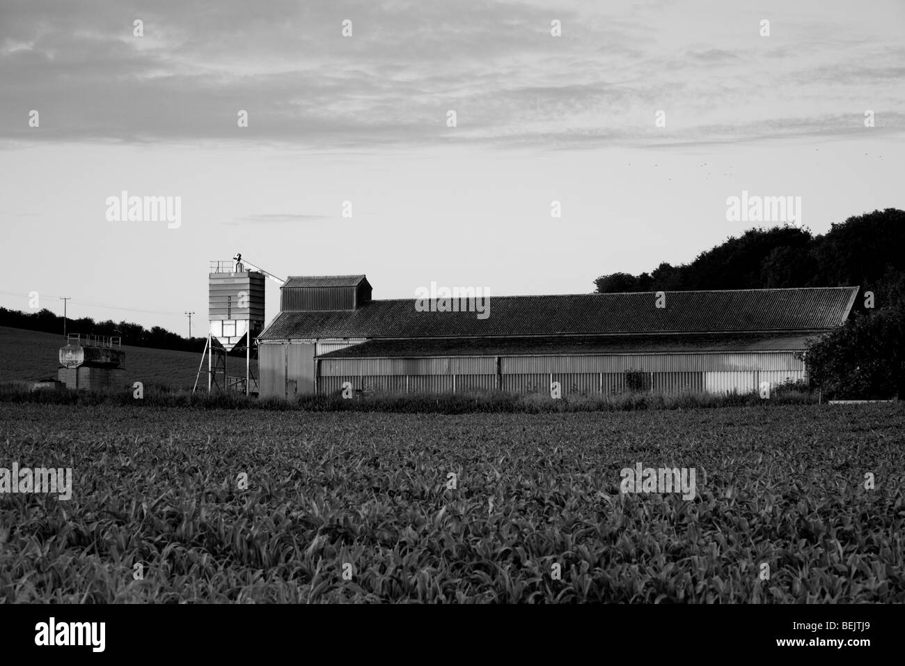 Large barn Black and White Stock Photos & Images - Alamy