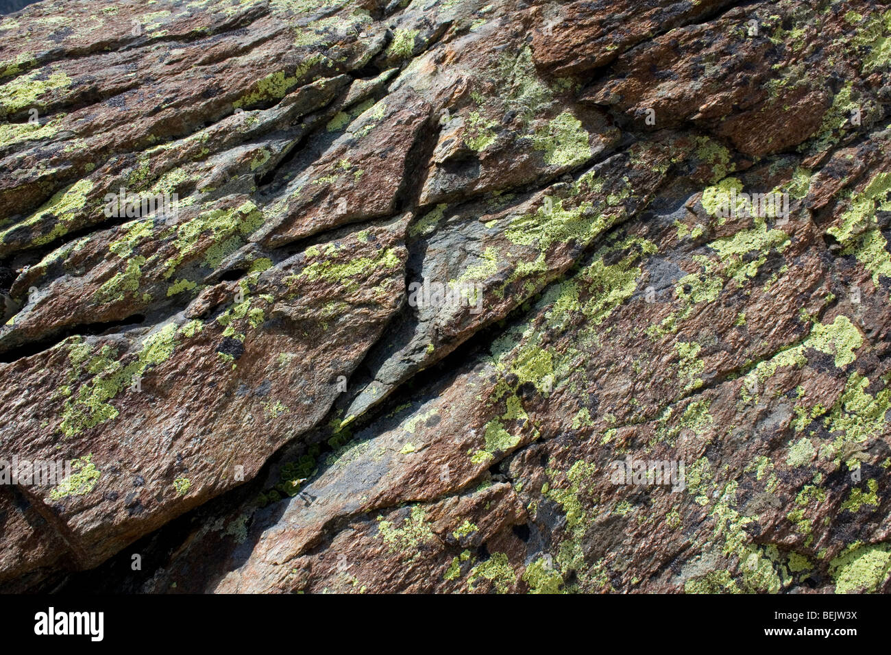 Patterns textures in alpine rock hi-res stock photography and images ...