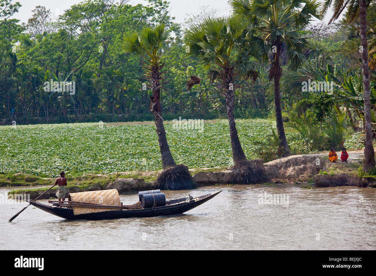 Bangladesh rural hi-res stock photography and images - Alamy